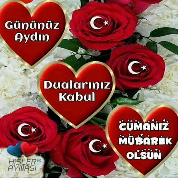 UUTF Girişimsel Radyoloji - Medical School