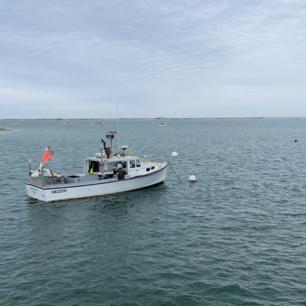 Chatham Fish Pier - 41 tips from 1762 visitors