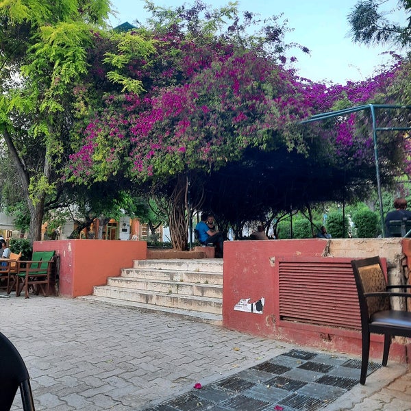 JOJO Cafe - 39 tips from 983 visitors