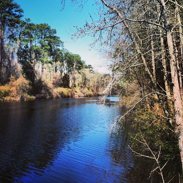 Dismal Swamp Canal - Canal in Chesapeake