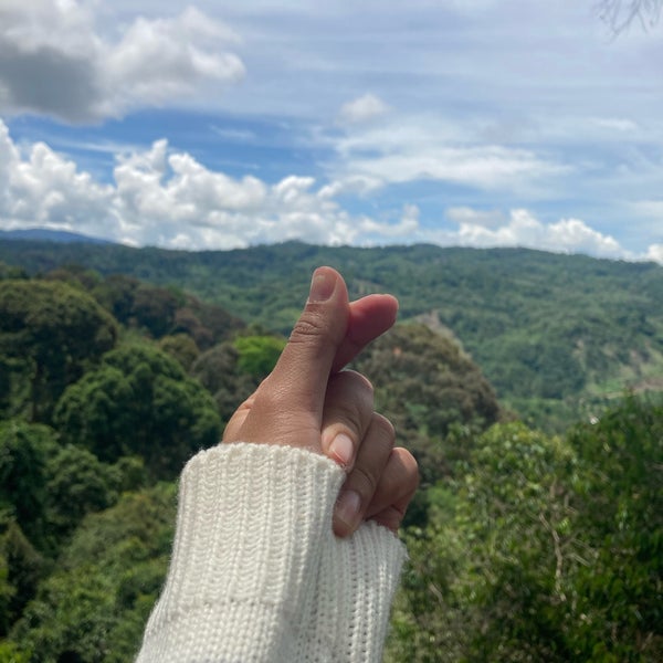 Canopy Walkway - Ranau, negeri sabah