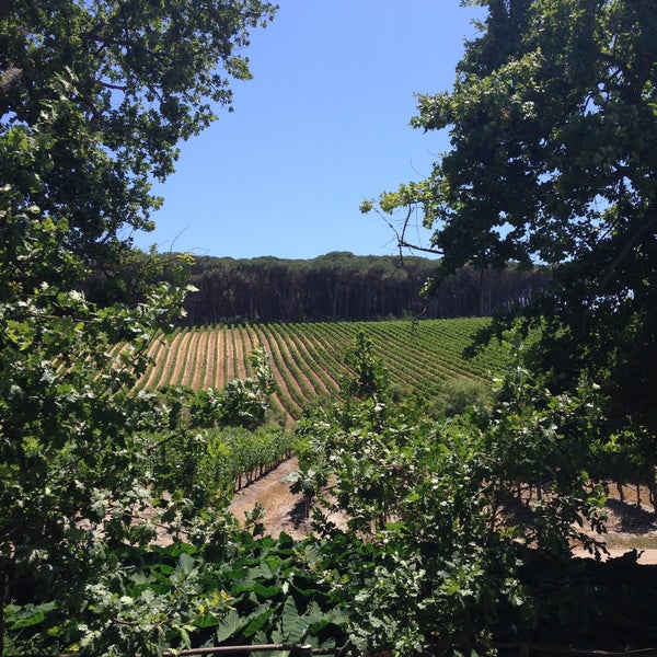 Root 44 Audacia Market - Market in Stellenbosch