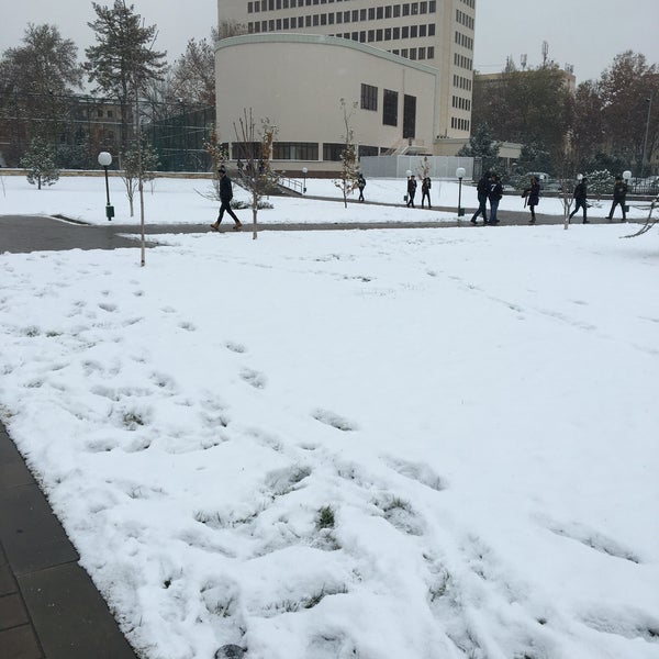 WIUT (Westminster International University in Tashkent) - University