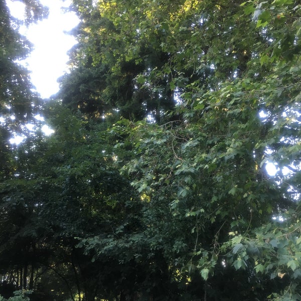 Photos at Robinswood Park - Park in Bellevue