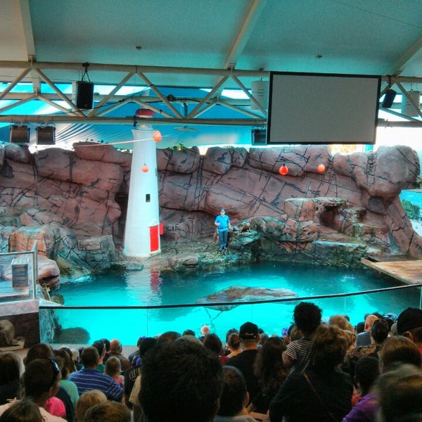 Underwater World - Mooloolaba, QLD