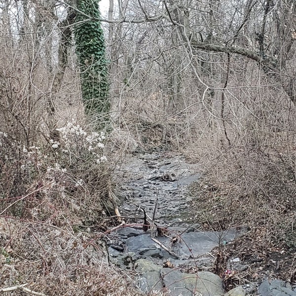 Pangborn Park - 591 Pangborn Blvd.