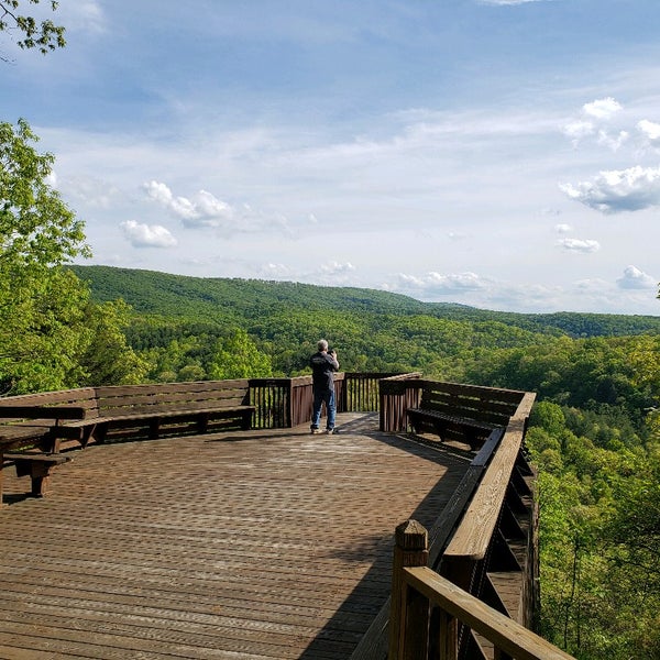Green Ridge State Forest - Forest in Flintstone