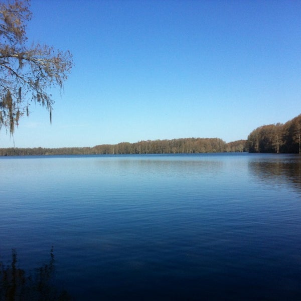 Gil Waters Reserve, Lake Munson - 20 visitors