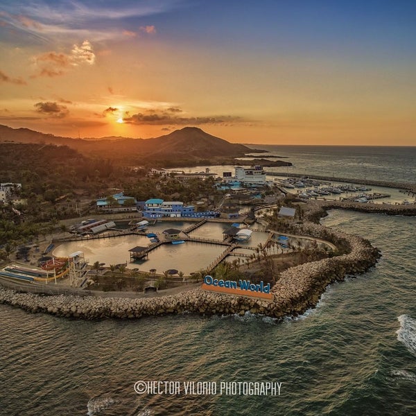 Ocean World Marina - 7 tips