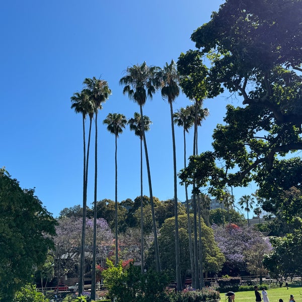 Milson Park - 2 tips