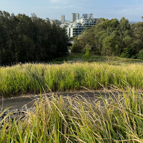 Bicentennial Park - 11 tips