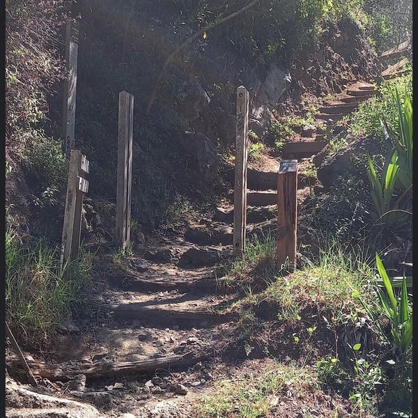Bassin des Cormorans - Sentier du bassin Cormoran