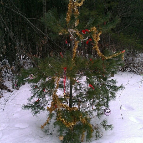 Crooked Springs Reservation - North Chelmsford, MA