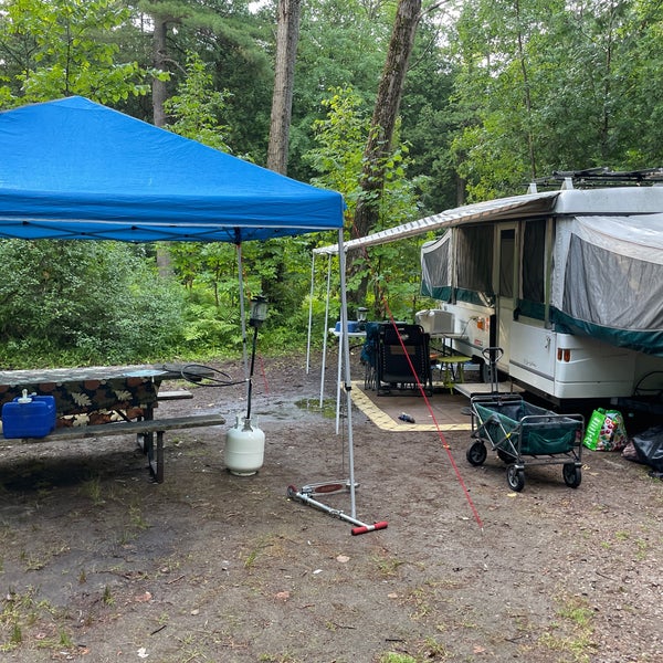 White Pine Campground - 1 visitor