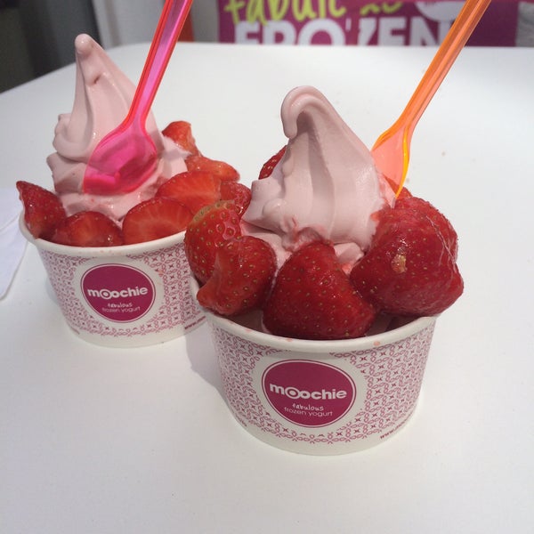 Moochie Frozen Yogurt - 10 tips from 4110 visitors