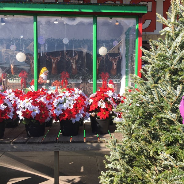 Canarsie Flower Market Brooklyn | Best Flower Site