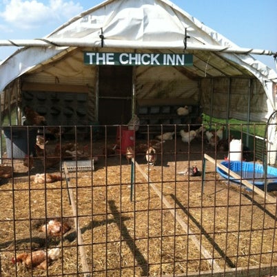 The Chick Inn - 1 tip from 6 visitors
