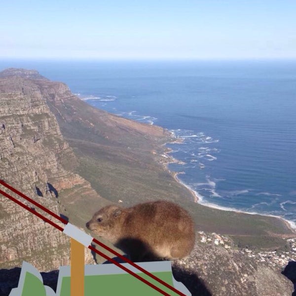 Table Mountain National Park - Table Mountain - Table Mountain Rd