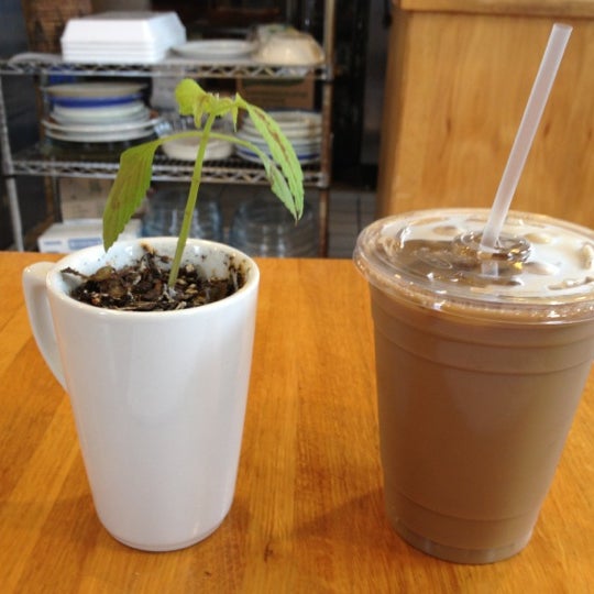 George Street Cafe - 8 tips