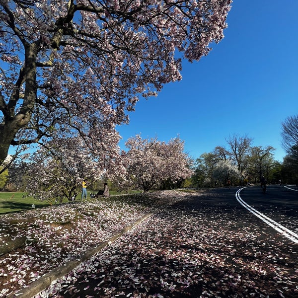 Prospect Park Loop - Track in Prospect Park