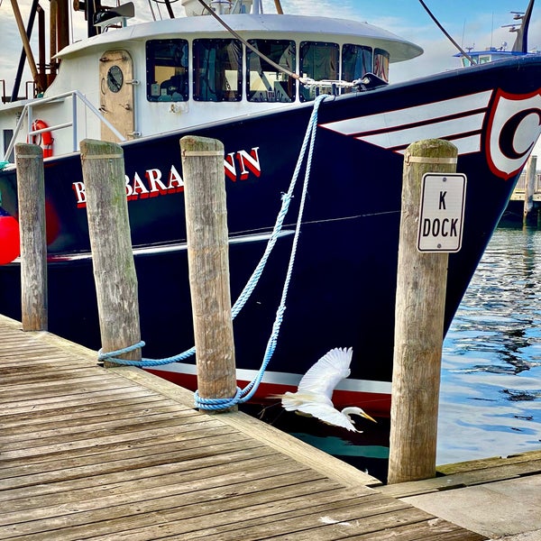 Ferry Wharf Fish Market - Fish Market in Narragansett