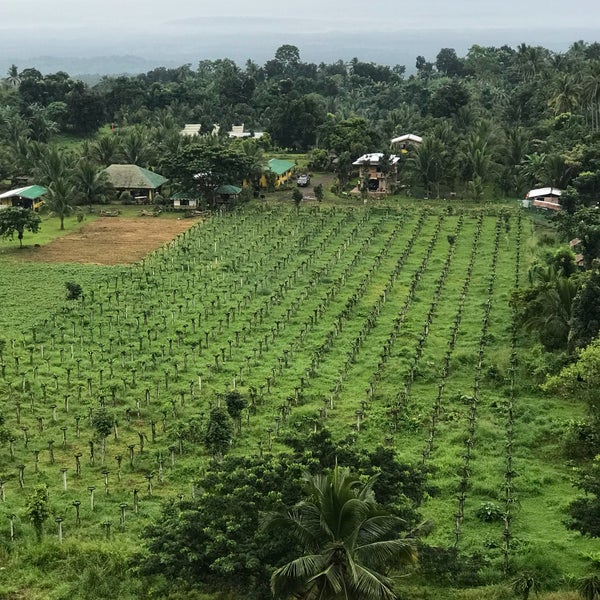 lukong valley farm - 9 visitors