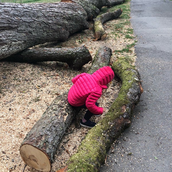 Photos at Parc Bertrand - Park