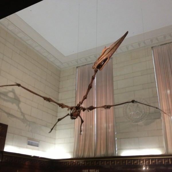 Texas Memorial Museum (TMM) - University of Texas-Austin - University ...