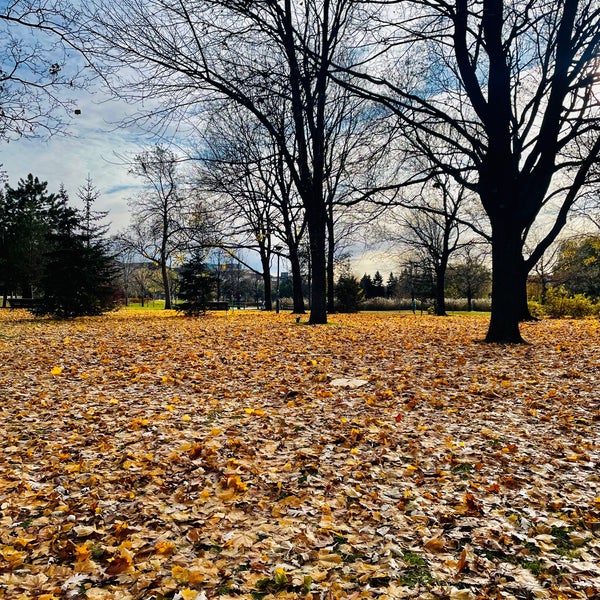 Photos at Parc Jarry - Park in Montréal
