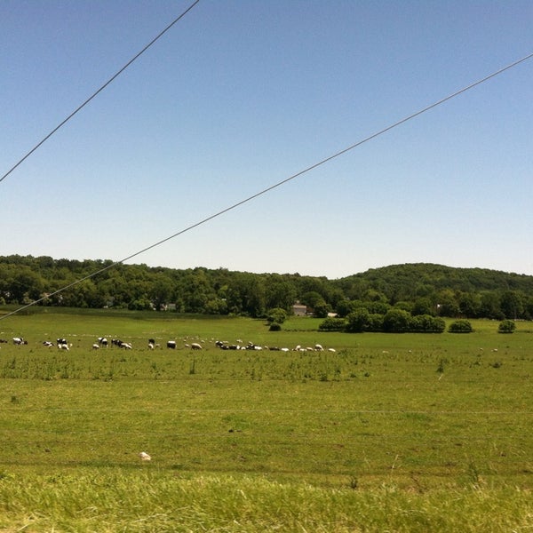 The Stinky Farm - 7 tips from 147 visitors