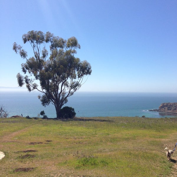 Forrestal Nature Preserve - Trail