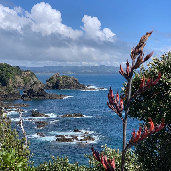 Matapouri Bay - 3 tips from 173 visitors