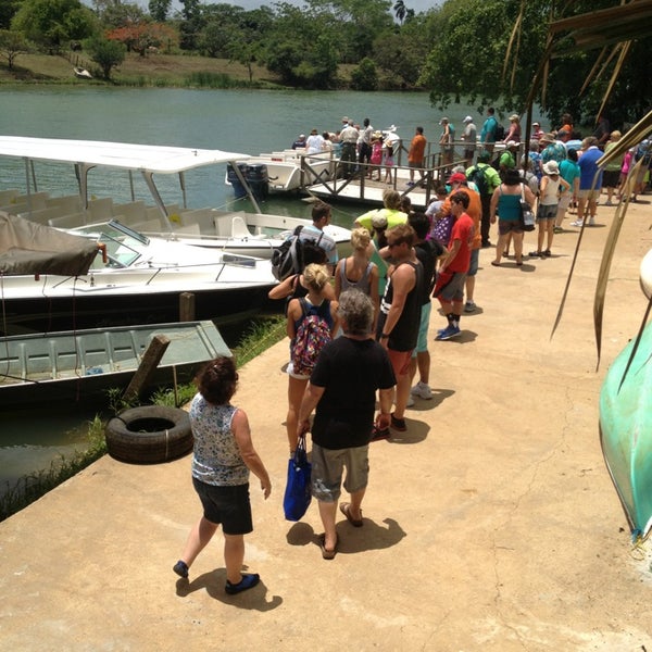 Jungle River Wallace - River