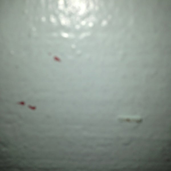 The Reef - Perdido Key - 13595 Perdido Drive