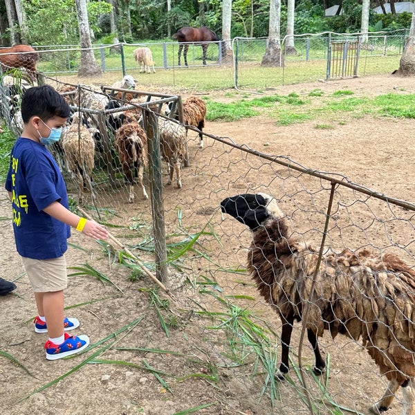 Sta. Elena Fun Farm - Cabuyao, Laguna