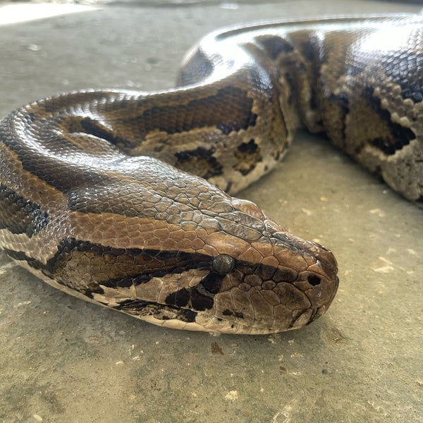 Xzootic Animal Park - Loay, Bohol
