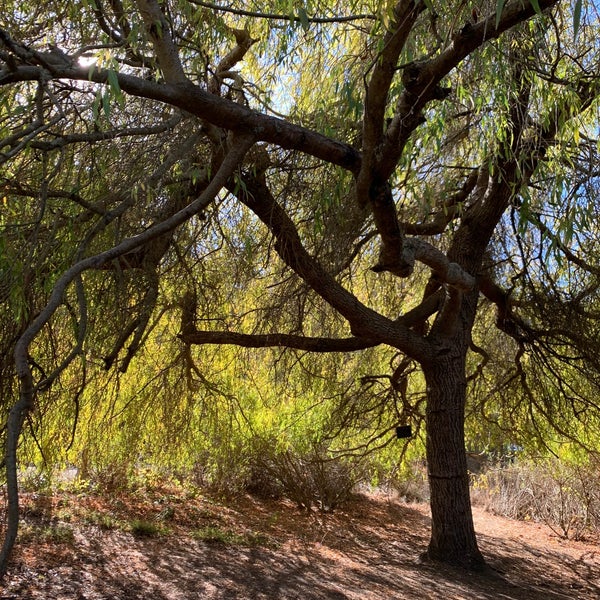 El Polín Spring - Presidio National Park - San Francisco, CA