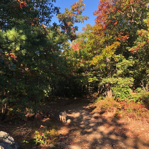 Middlesex Fells - Medford, MA