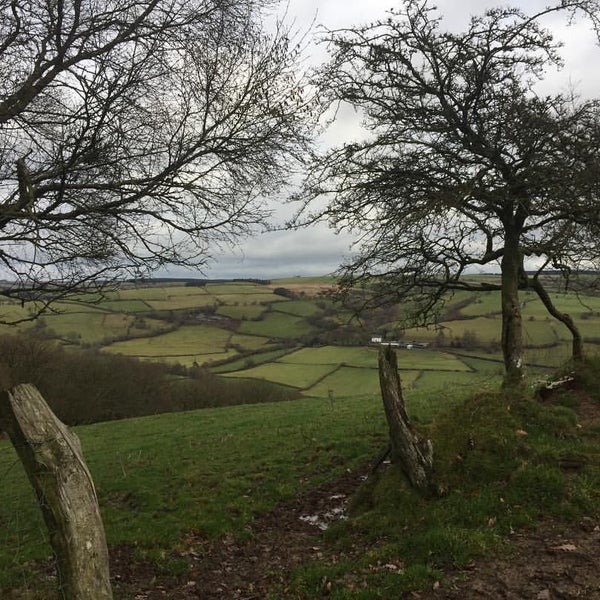 Gigrin Farm Red Kite Feeding Station - Farm