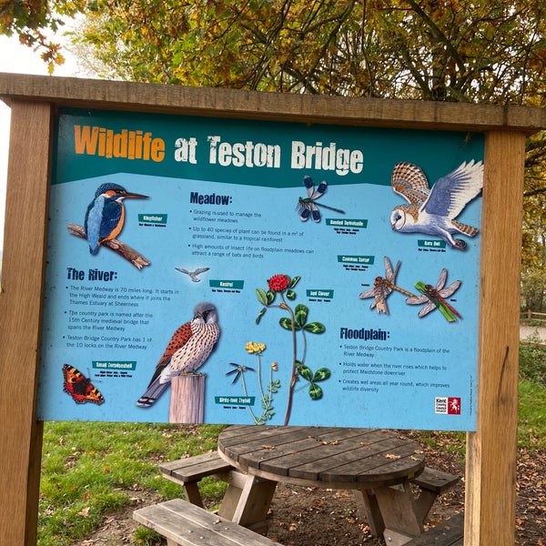 Teston Bridge Country Park - Park in Teston