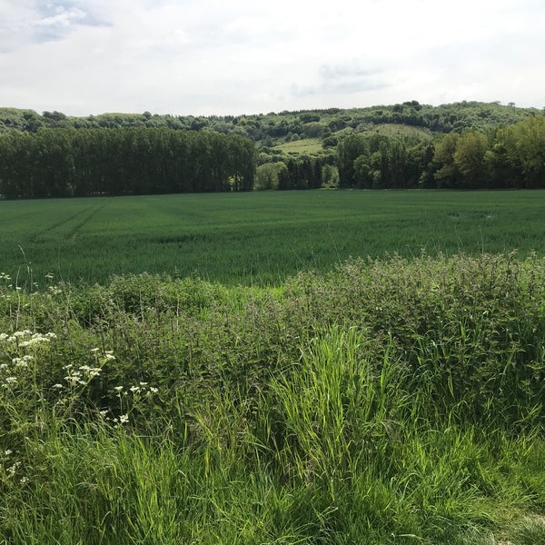 Lullingstone Country Park - Park