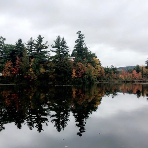 Photos at Lily Pond - Surry, NH