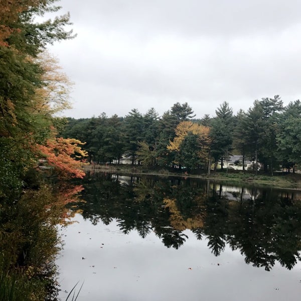 Photos at Lily Pond - Surry, NH