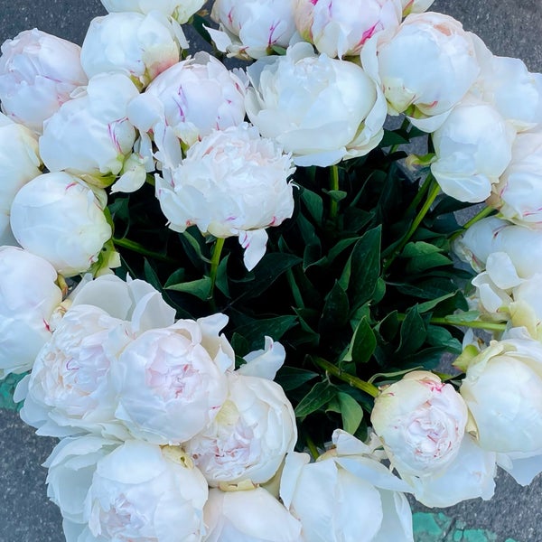 Helvetiaplatz Markt - Market in Kreis 4