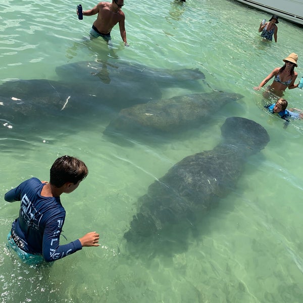 Nixon SandBar - Village of Key Biscayne - 3 tips