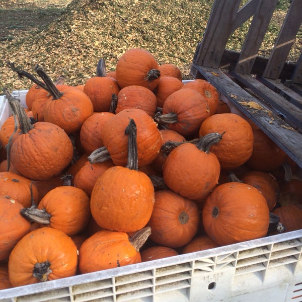 Zittel Farms - Farm in Folsom