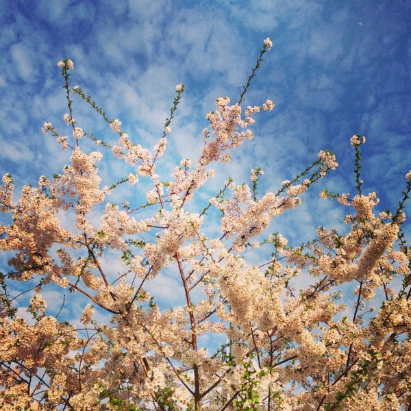 Elwood L. Crossan Park - Park in Landenberg