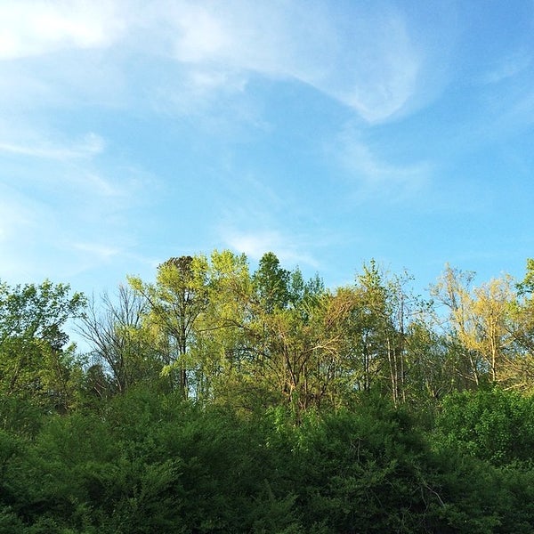 Wake Forest, NC - 10 tips