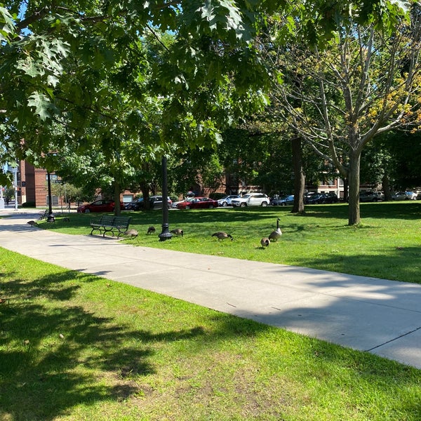 Evans Way Park - Park in Medical Center Area