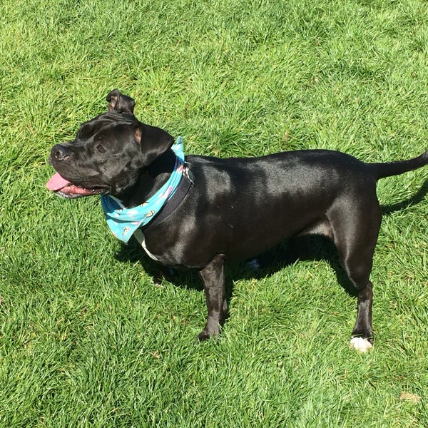 Duboce Park - Duboce Triangle - San Francisco, CA